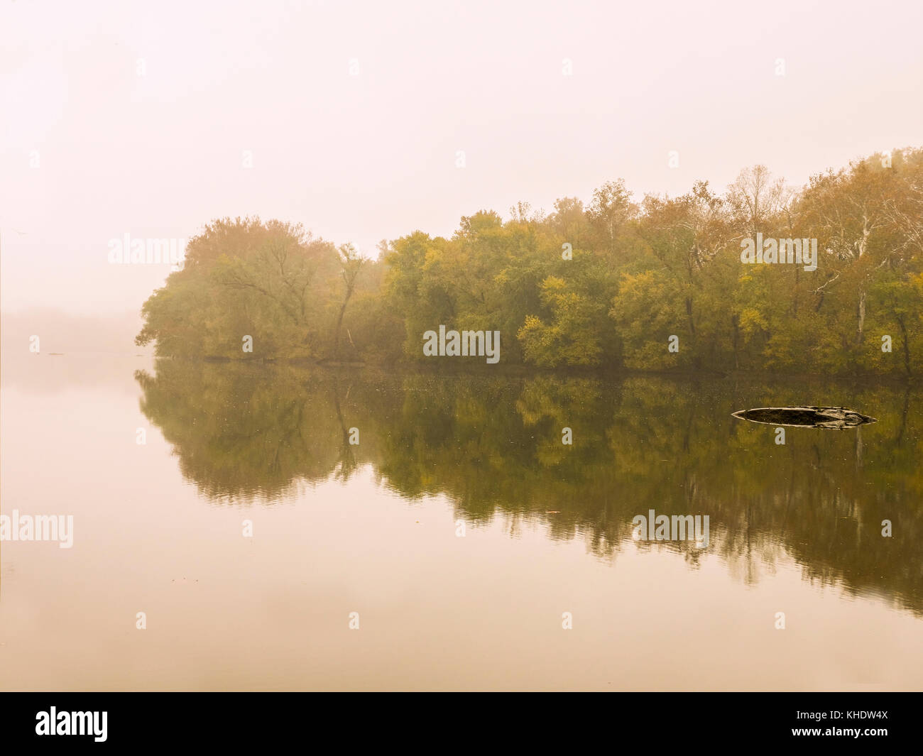 Reflections in the water of a lake bank with fallen trees and morning ...