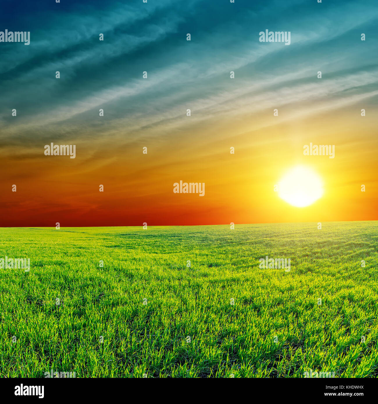 orange sunset over green field Stock Photo - Alamy
