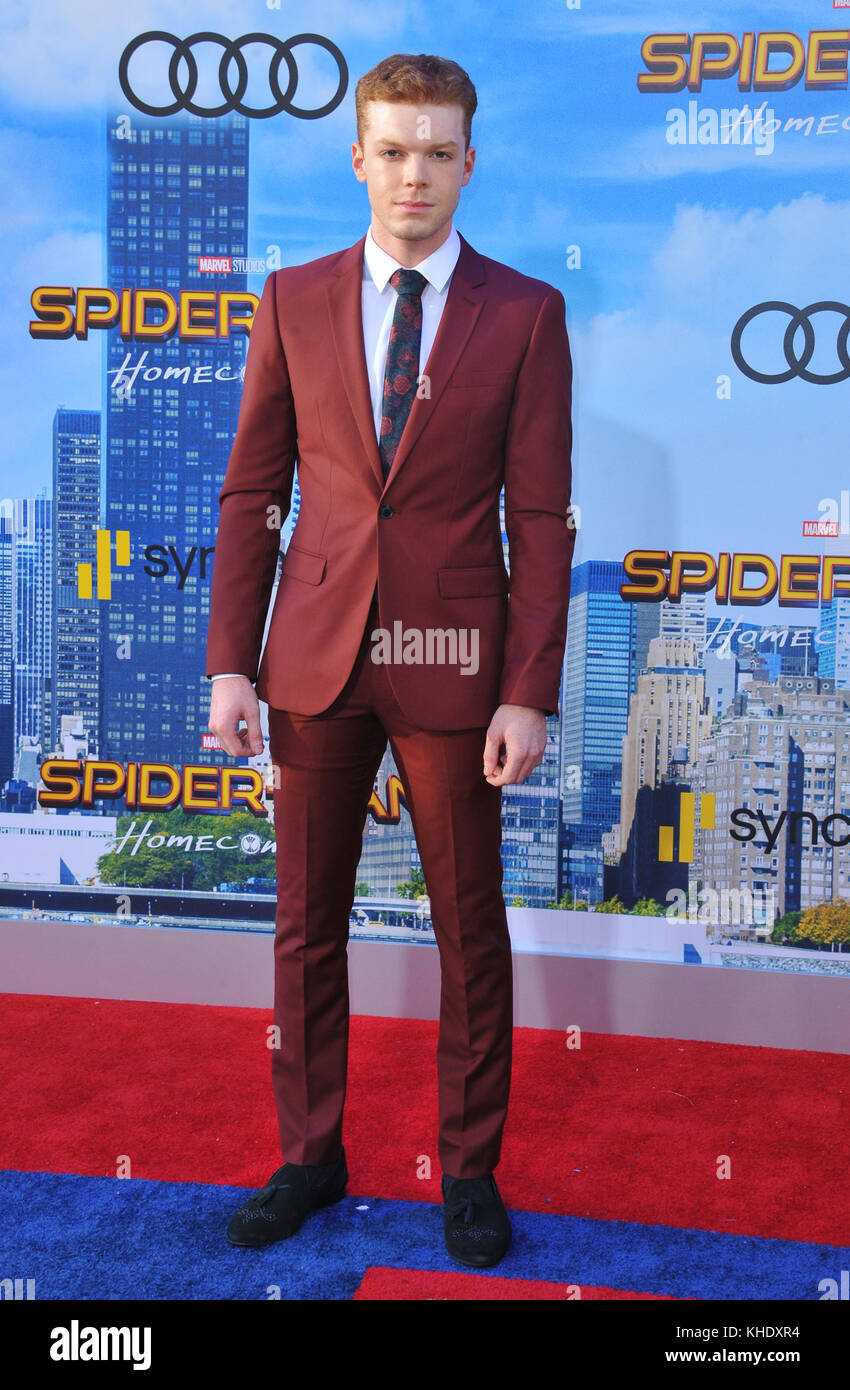 HOLLYWOOD, CA - JUNE 28: Cameron Monaghan attends the premiere of ...