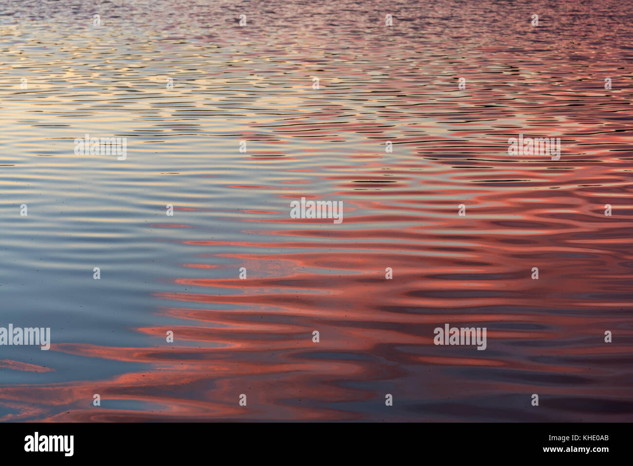 Beautiful abstract pink and blue decorative background with ripples and ...