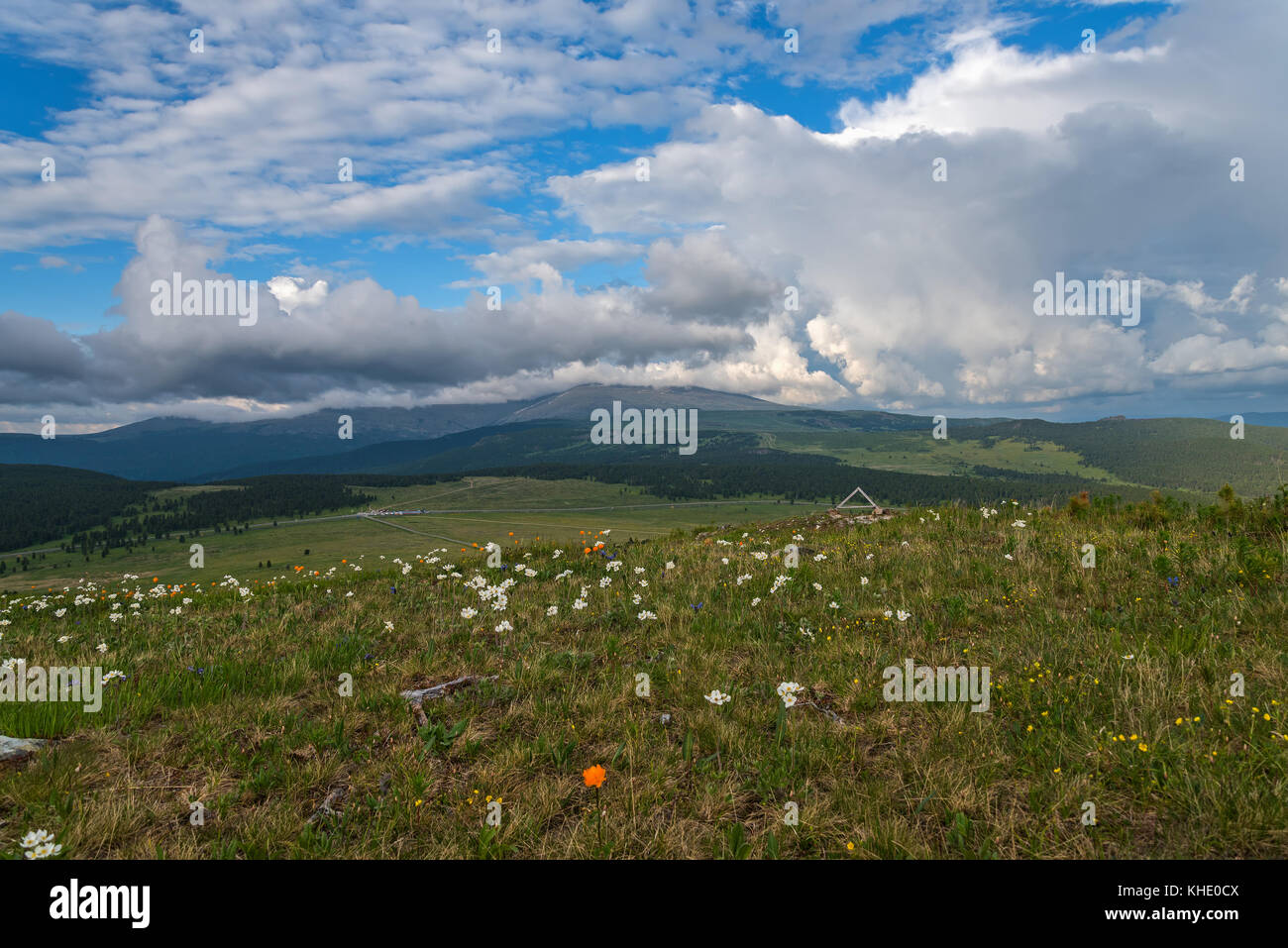 Scenic top view on the valley, forest and mountains on the background ...