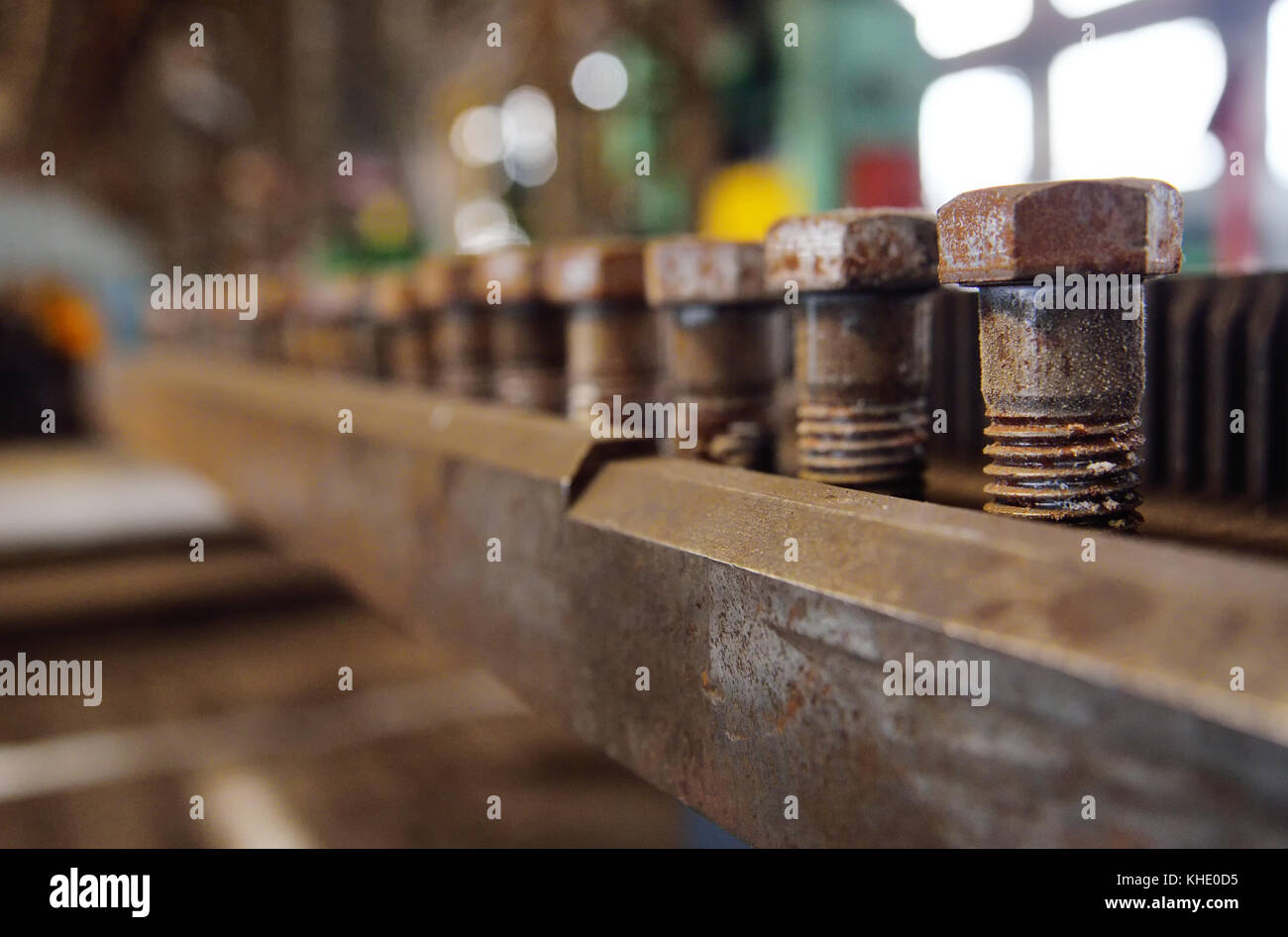 Plant bolts hi-res stock photography and images - Alamy