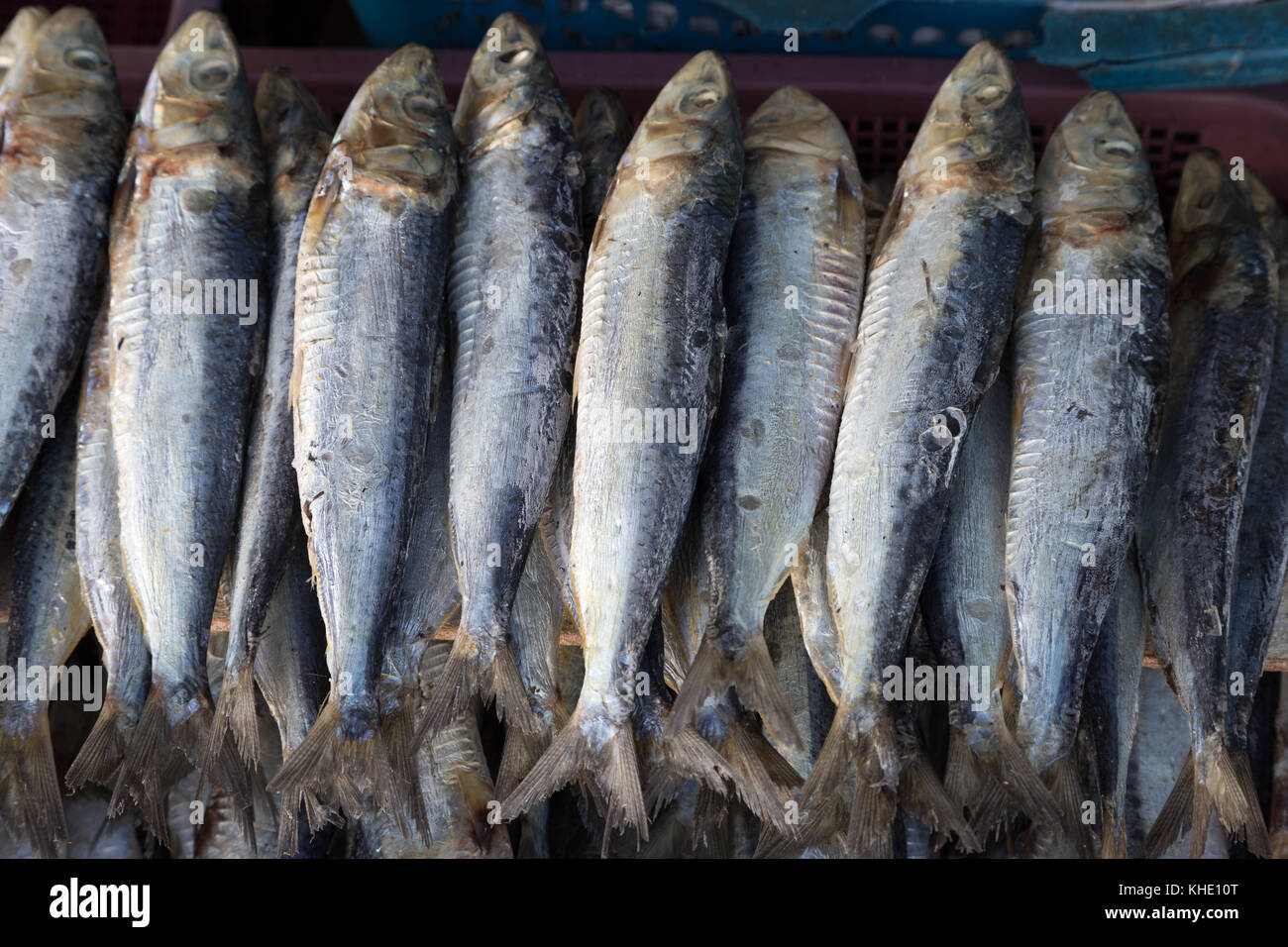 Asia, Philippines, Leyte, Ormoc City, Dried fish, Ormoc market has a ...