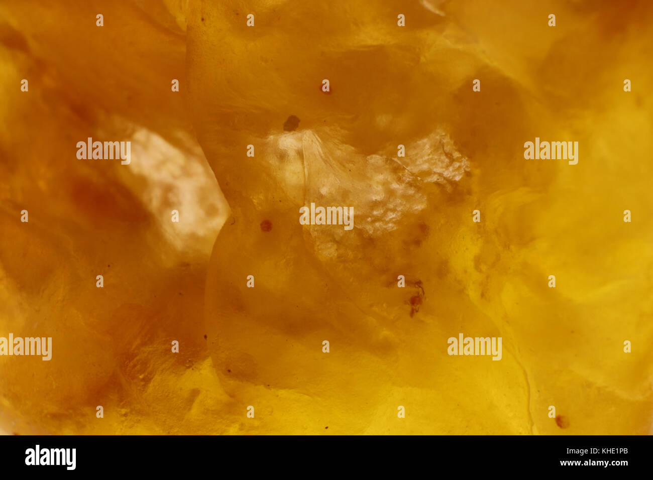 Raisin texture hi-res stock photography and images - Alamy