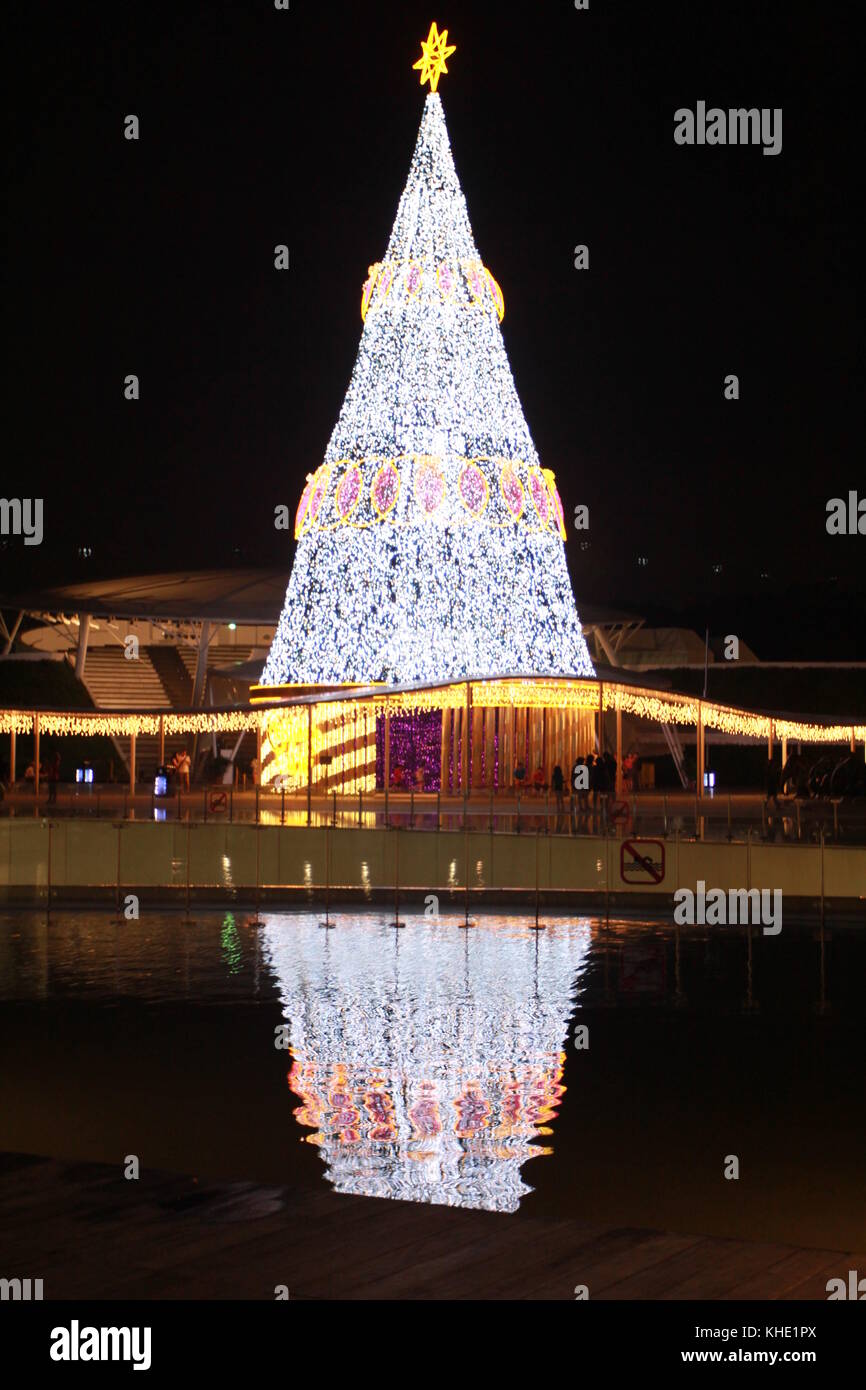 christmas tree reflection Stock Photo - Alamy