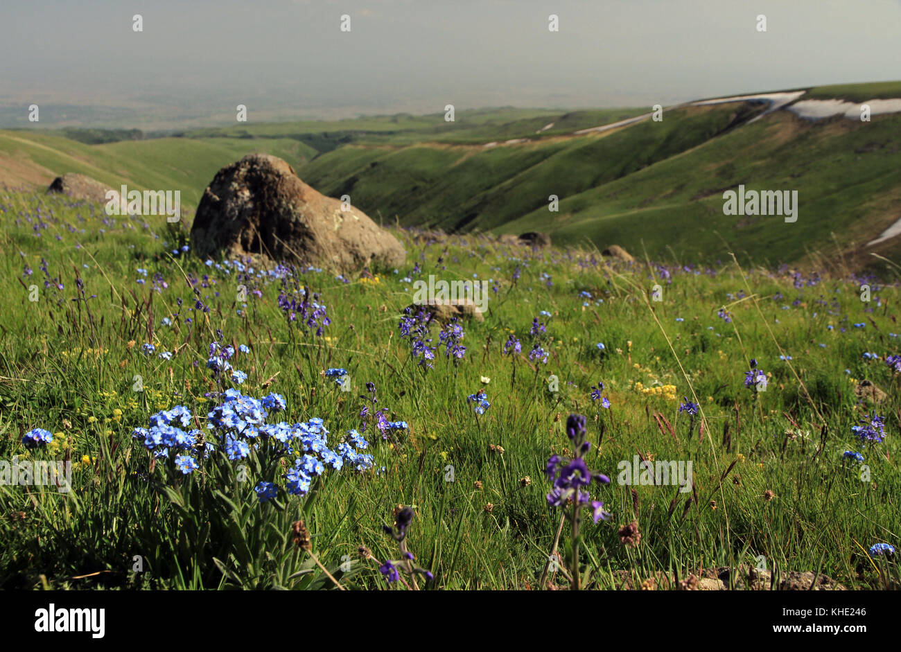 Lesser Caucasus, Mount Aragats area, Aragatsotn Province, Armenia Stock ...