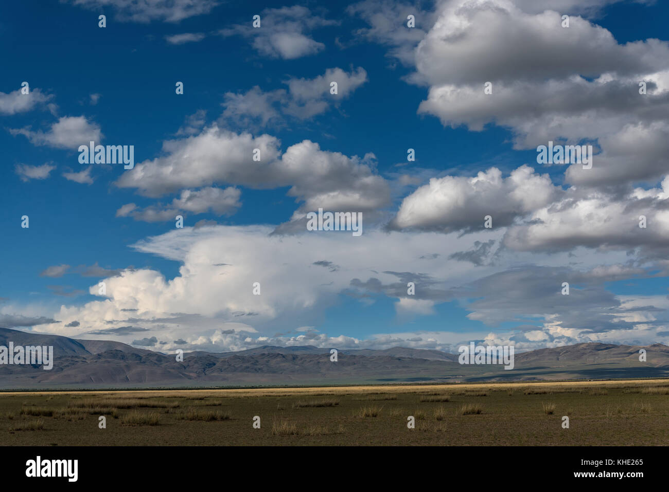 Scenic view of the steppe, mountains and sparse vegetation on the ...