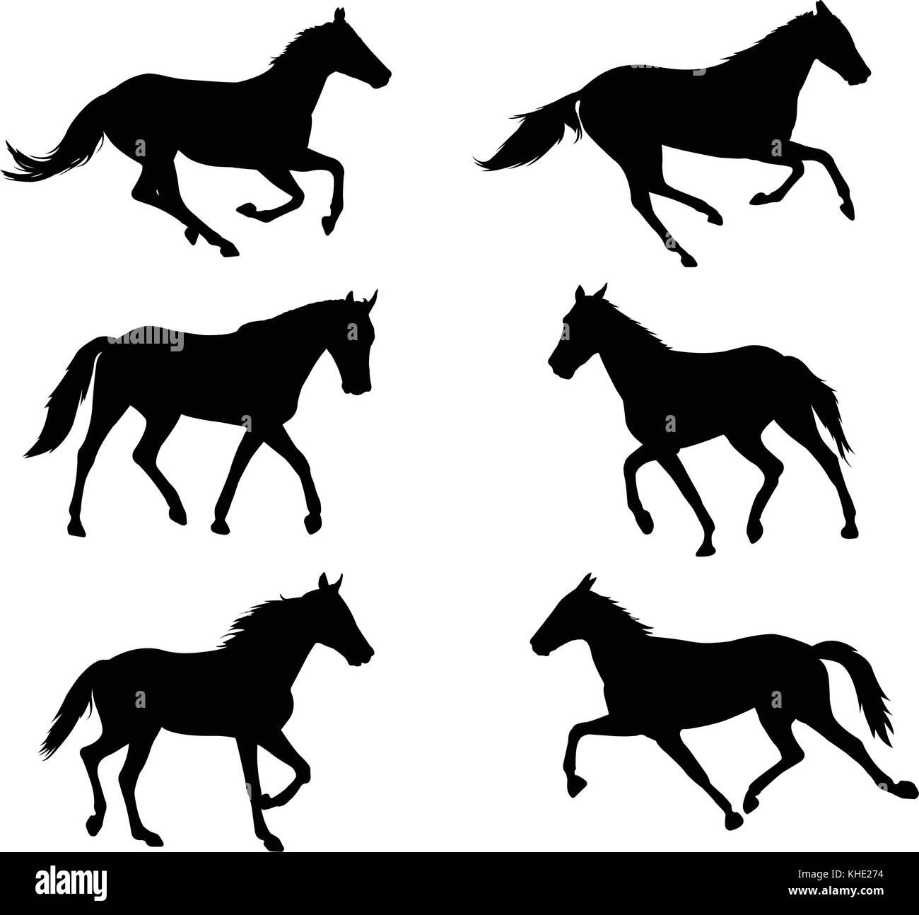 horses silhouettes collection - vector Stock Vector Image & Art - Alamy