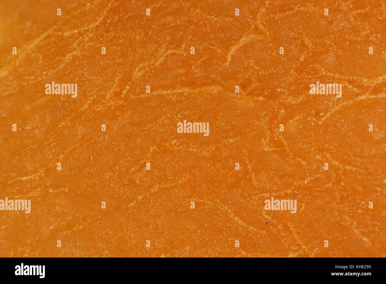 Apricot Texture High Resolution Stock Photography and Images - Alamy