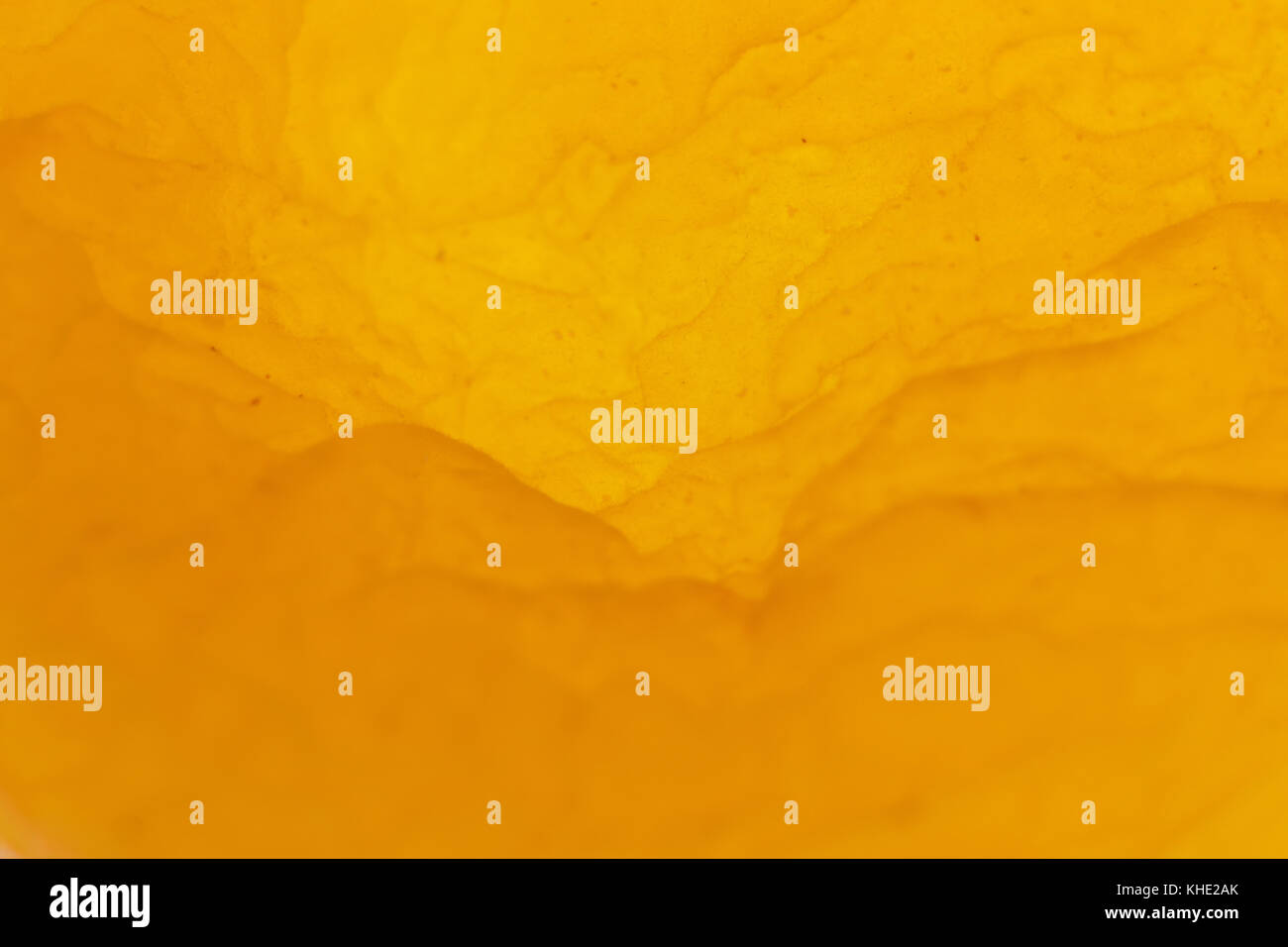 Apricot Texture High Resolution Stock Photography and Images - Alamy