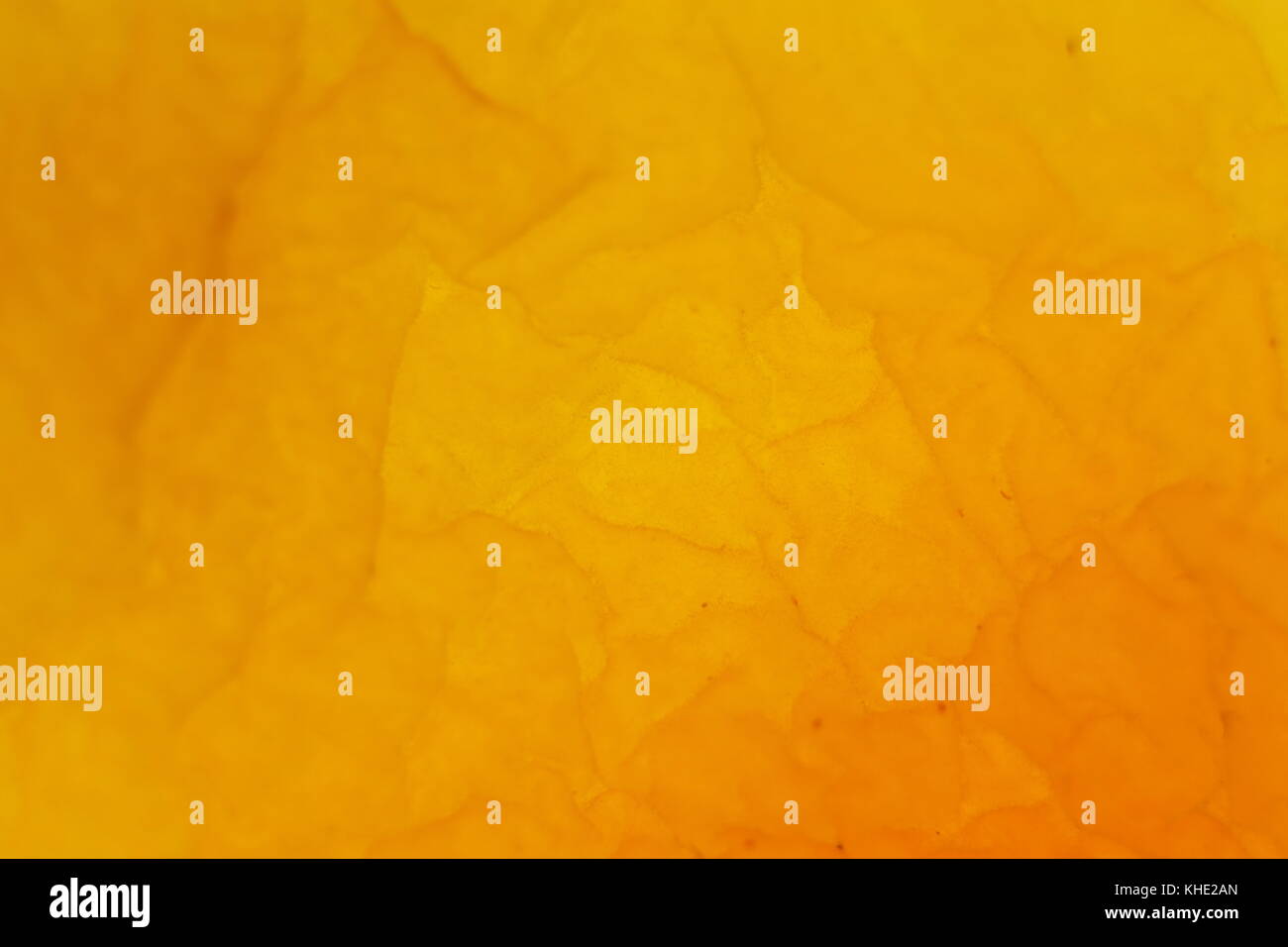 Apricot texture hi-res stock photography and images - Alamy