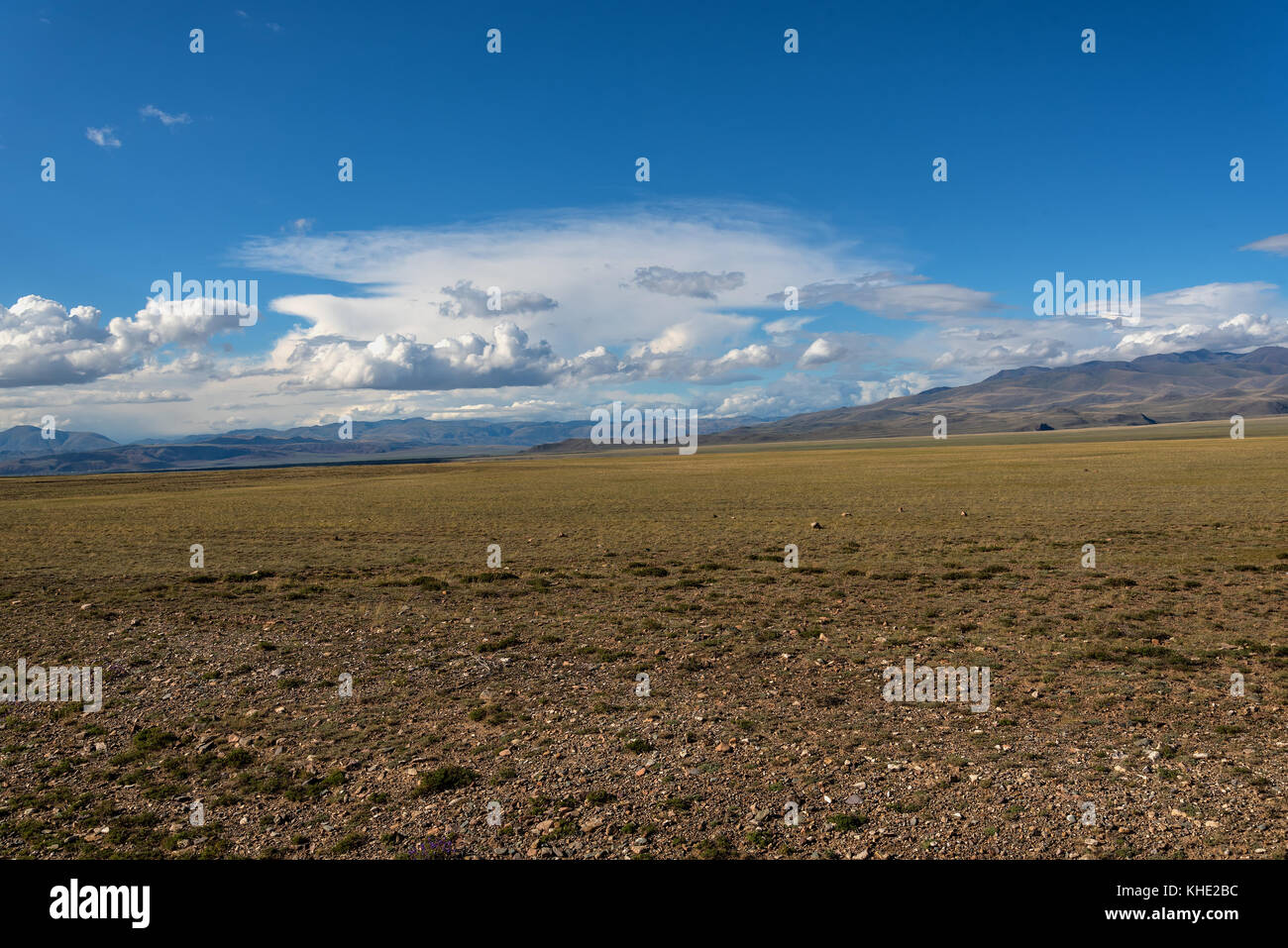 Scenic view of the steppe, mountains and sparse vegetation on the ...