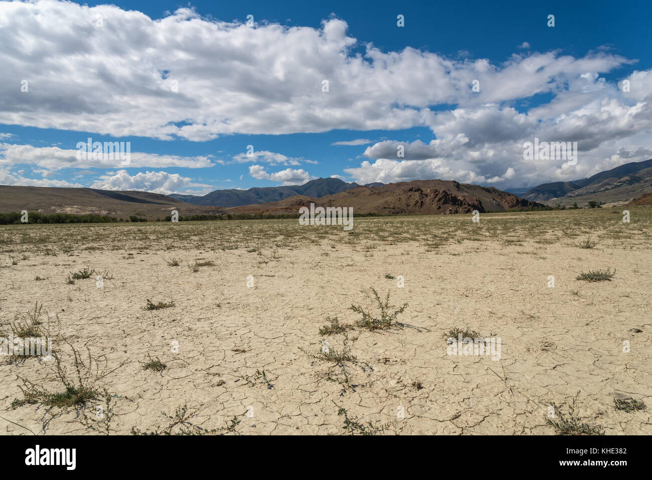 Semi desert landscape desert plants hi-res stock photography and images ...