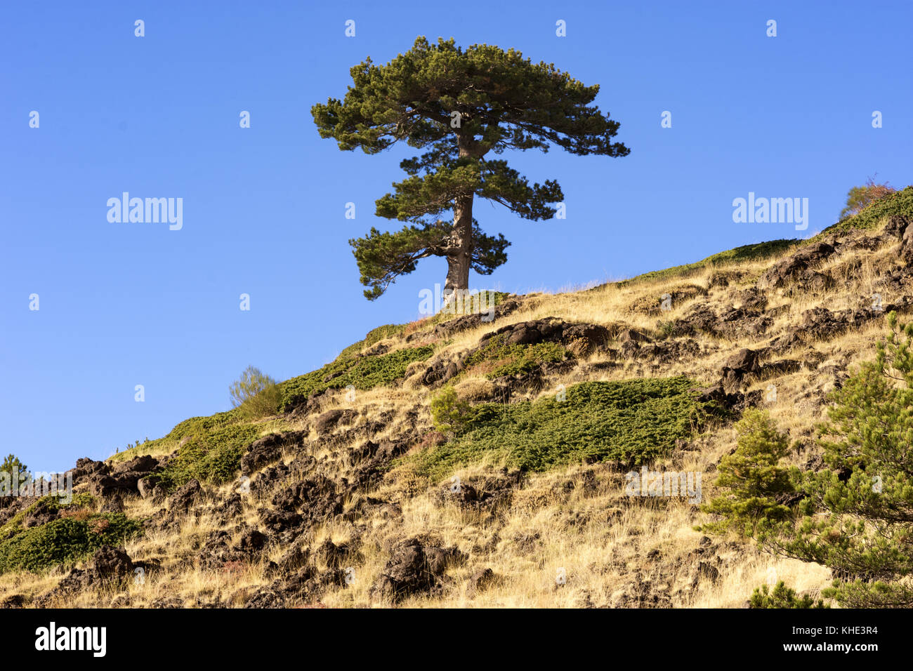 Lava slag hi-res stock photography and images - Alamy