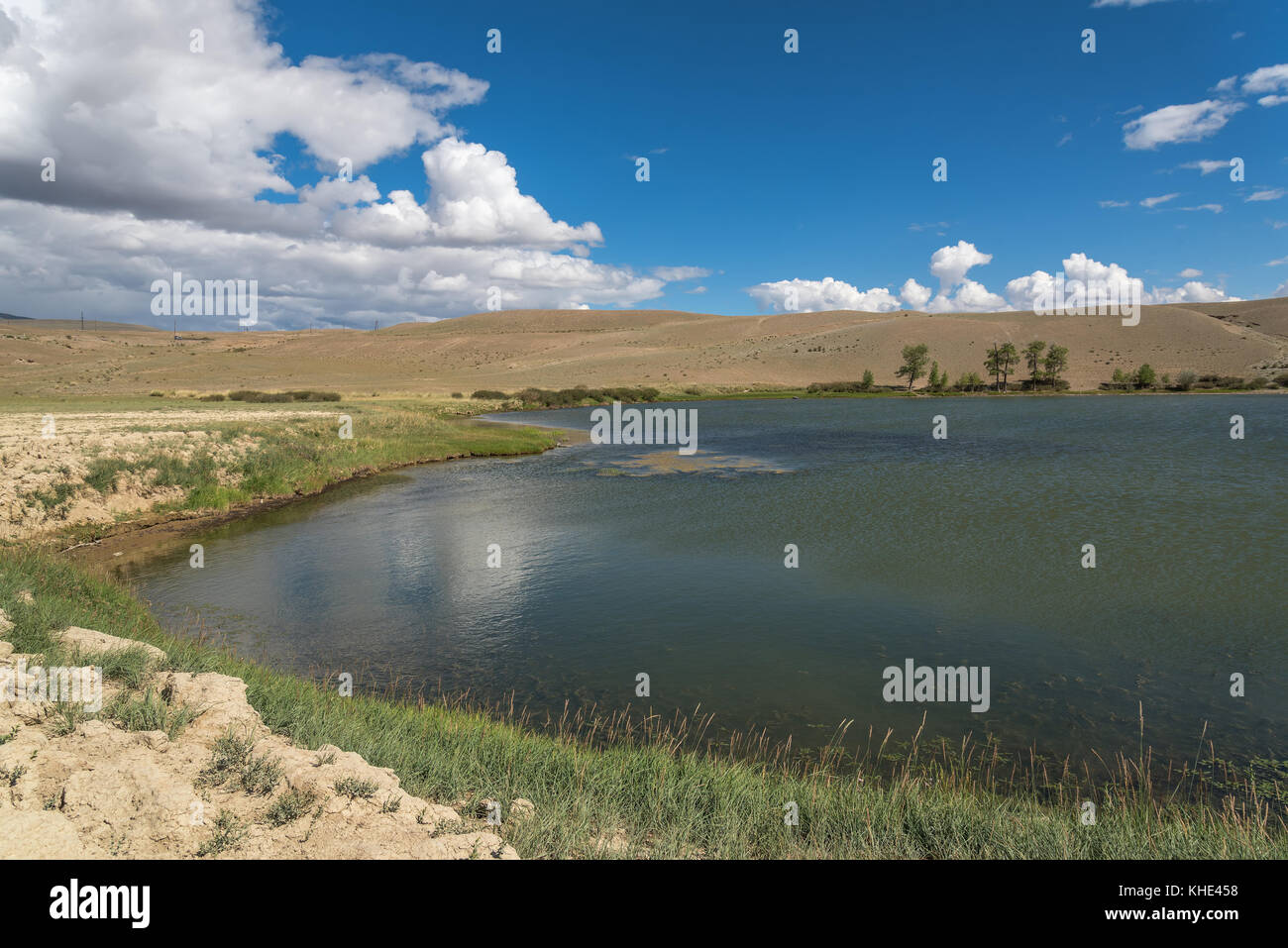 A scenic view of a beautiful lake in the desert with trees and ...