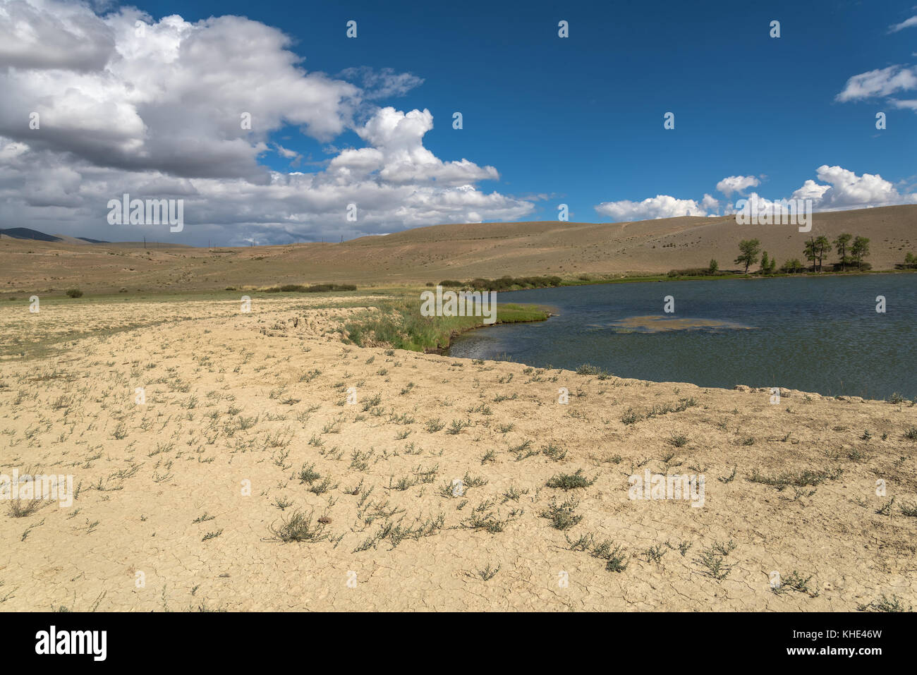 A scenic view of a beautiful lake in the desert with trees and ...