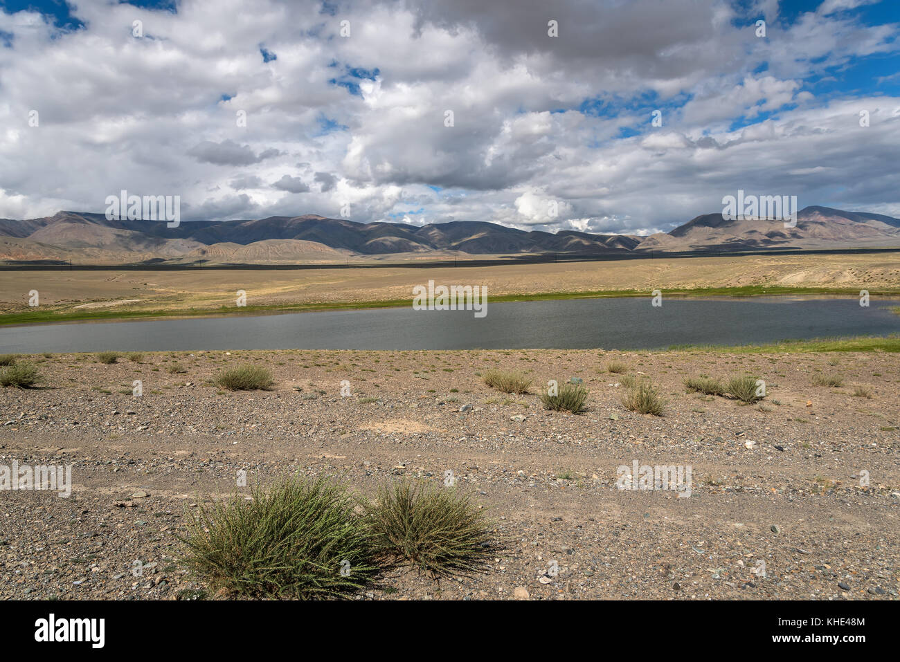 Scenic view of a beautiful lake in the desert with trees and vegetation ...