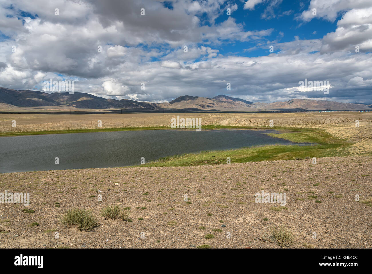 Scenic view of a beautiful lake in the desert with trees and vegetation ...