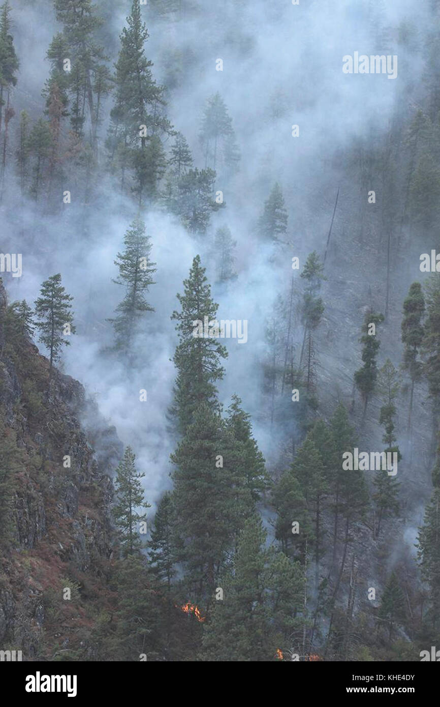 The Pioneer Fire located in the Boise National Forest near Idaho City ...