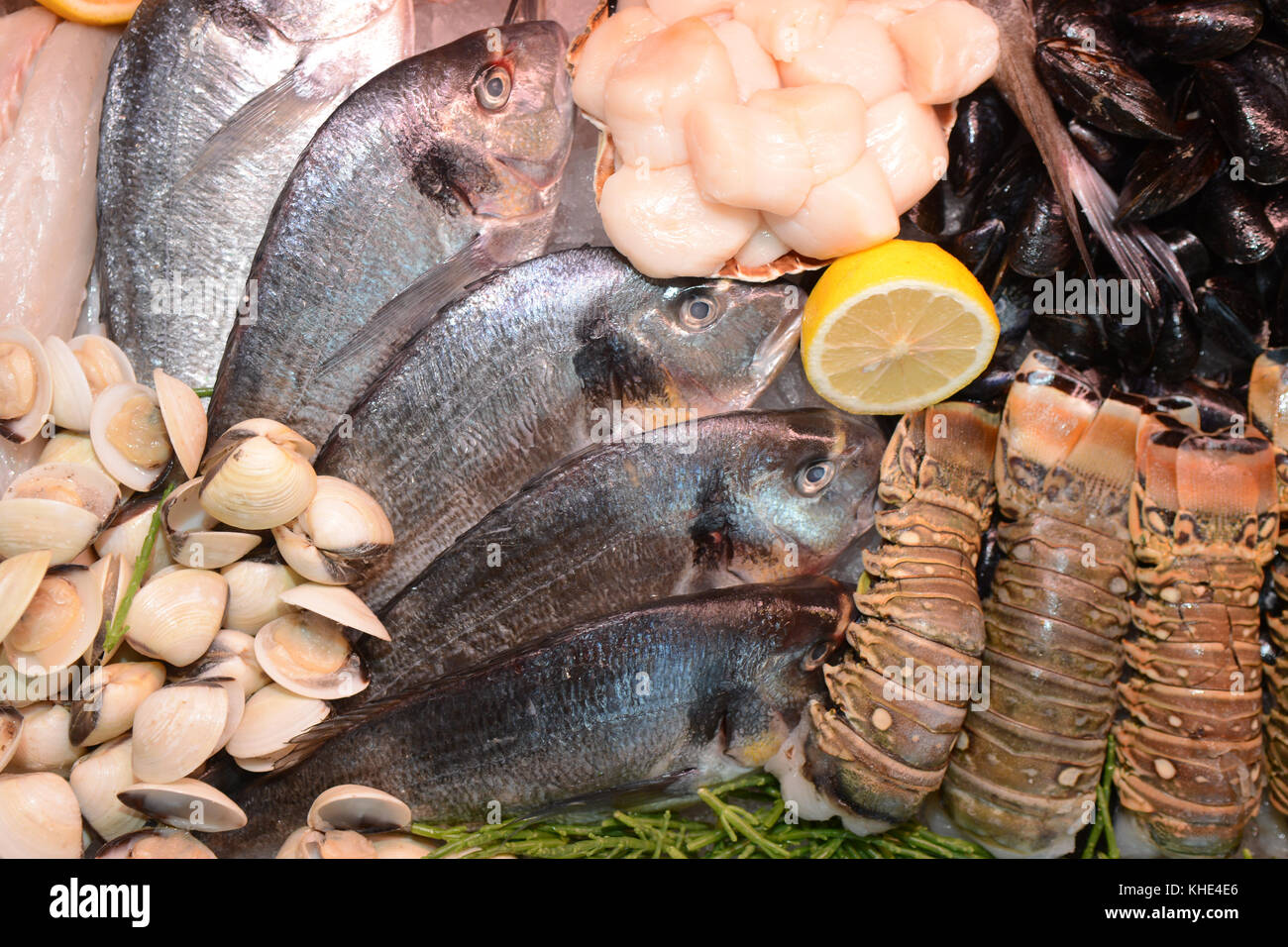 An image of a seafood Stock Photo - Alamy