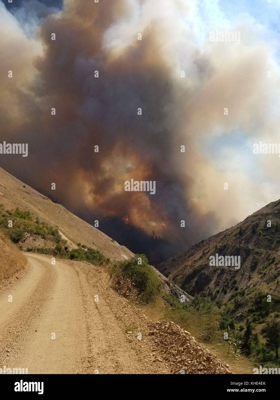 The Pioneer Fire located in the Boise National Forest near Idaho City ...