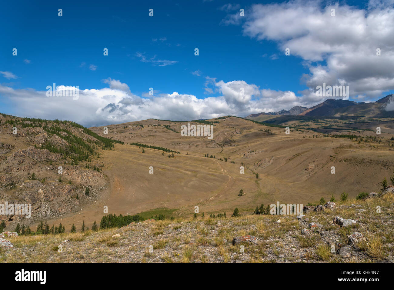 Scenic top view on the valley, forest and mountains on the background ...