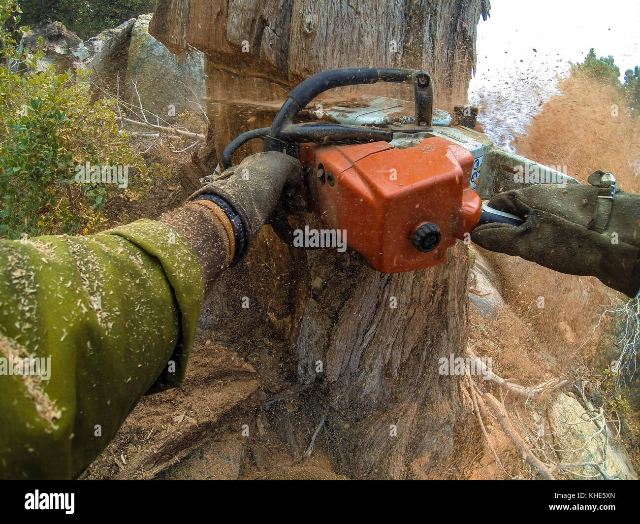 U.S. Department of Agriculture (USDA) Forest Service (FS) Smith River ...