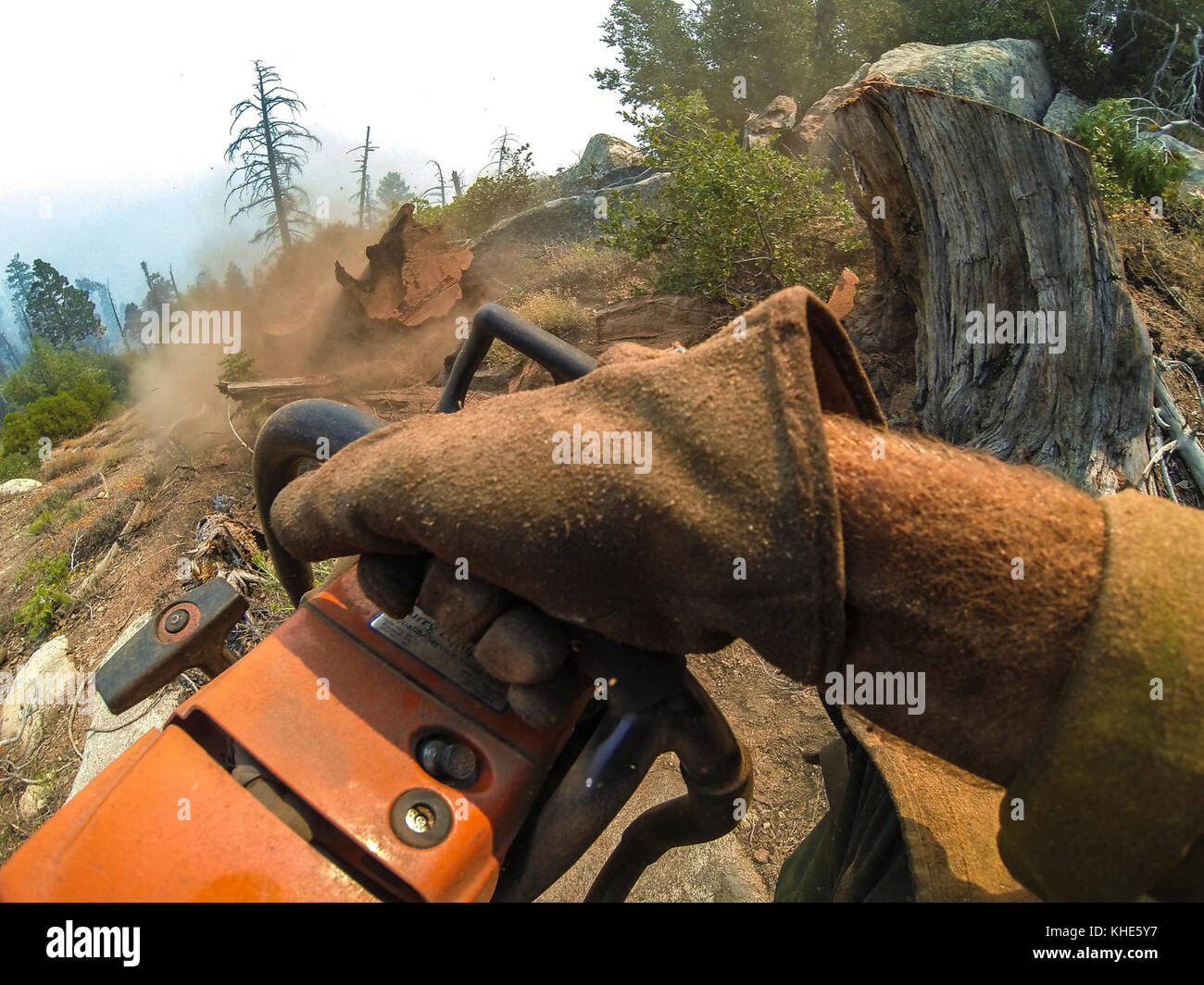 U.S. Department of Agriculture (USDA) Forest Service (FS) Smith River ...