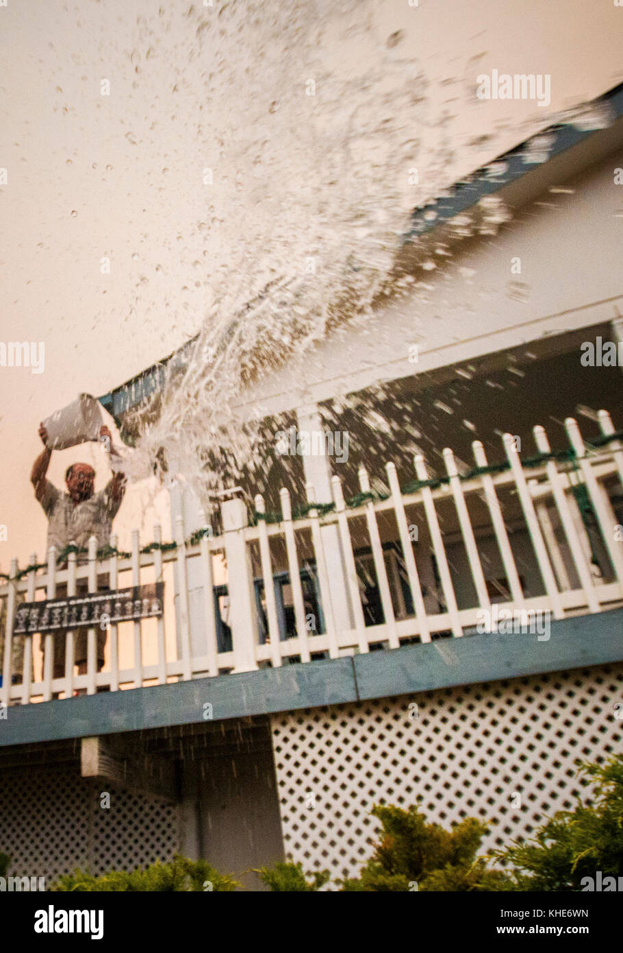 Steve Pough buckets water onto shrubs surrounding his home in Wofford ...