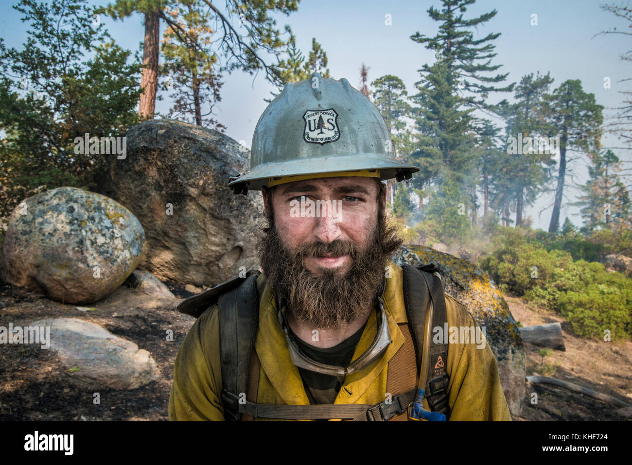 Iowa Forestry Department at Jennifer Pardue blog