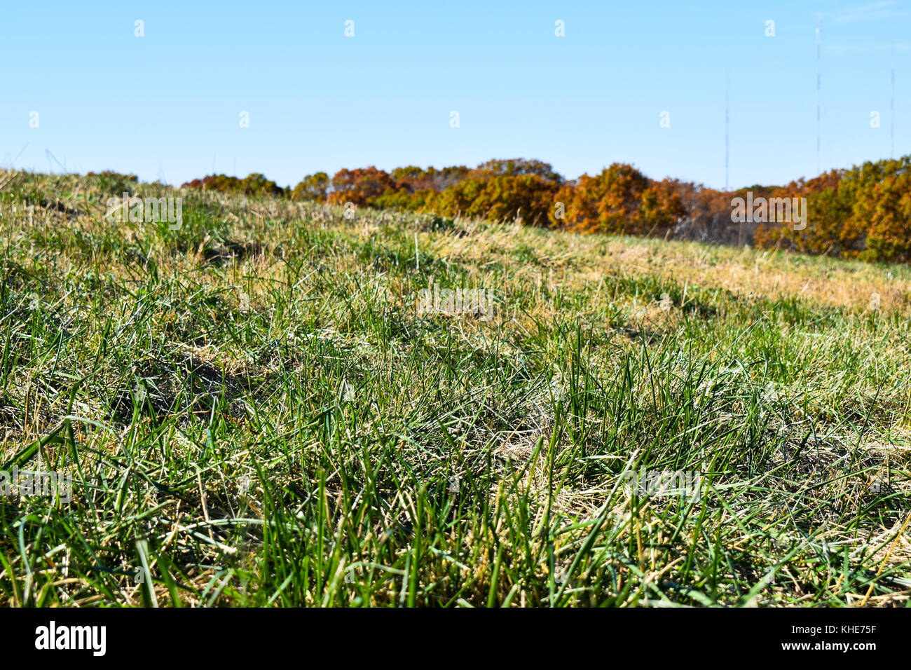 Boston usa fall colour hi-res stock photography and images - Alamy