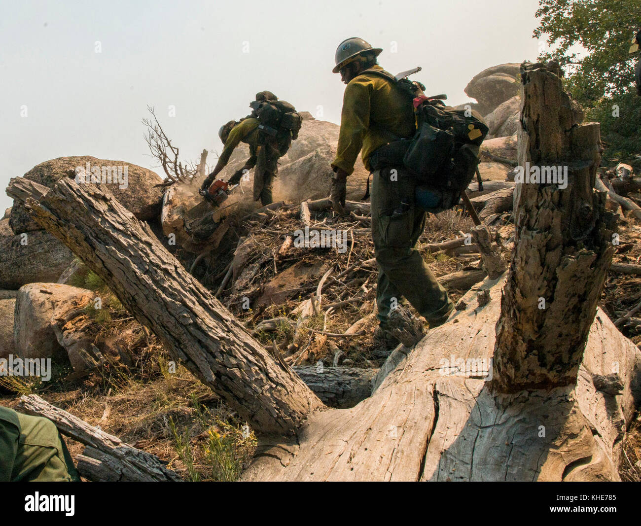 U.S. Department of Agriculture (USDA) Forest Service (FS) Smith River ...