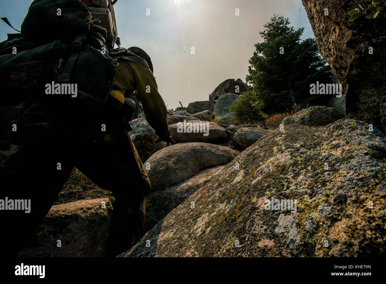 Forestry technicians hi-res stock photography and images - Alamy