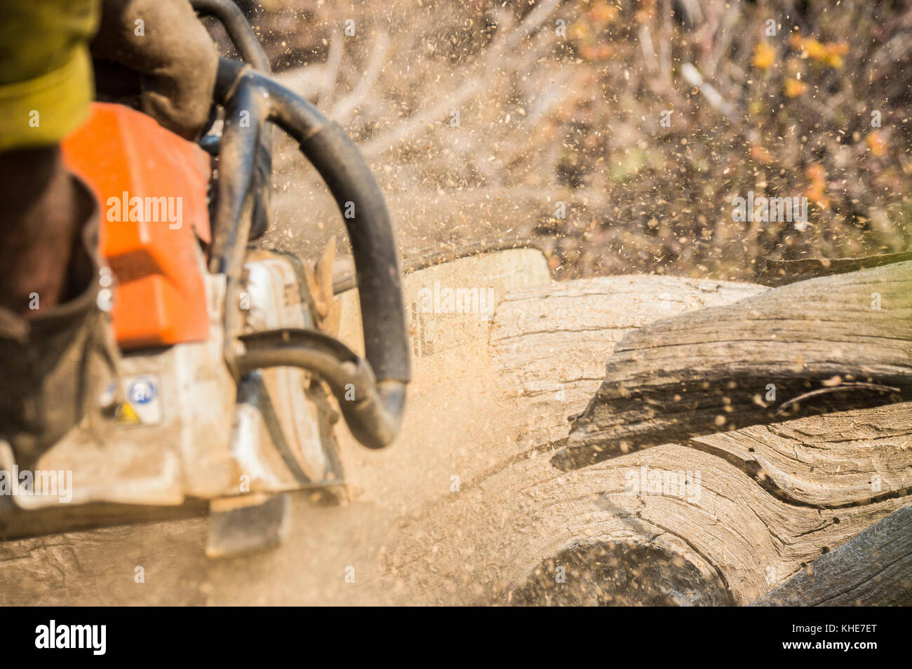Wildfire firefighter clearing brush hi-res stock photography and images ...