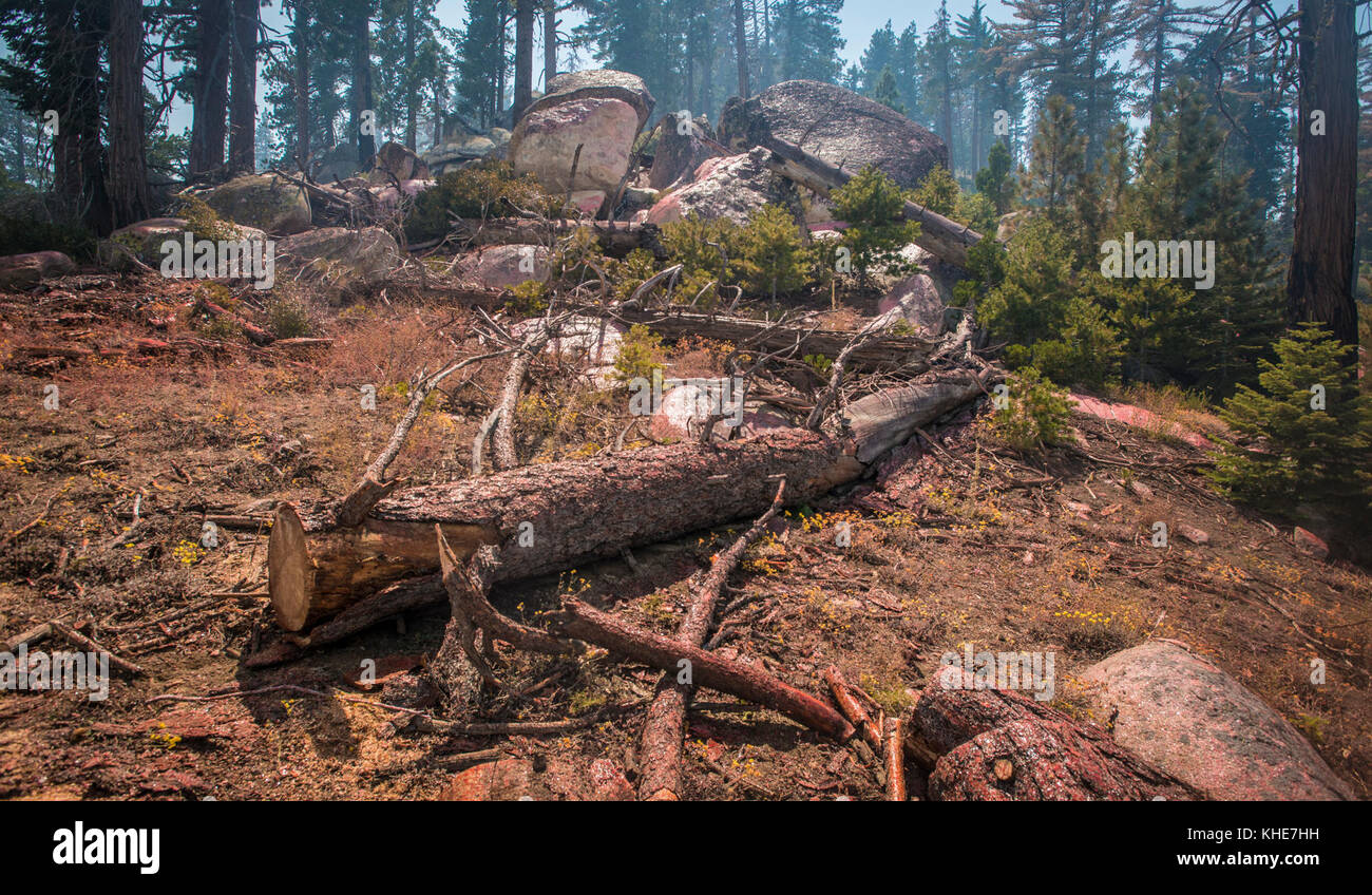 Cedar Fire fire operations include the aerial application of fire ...