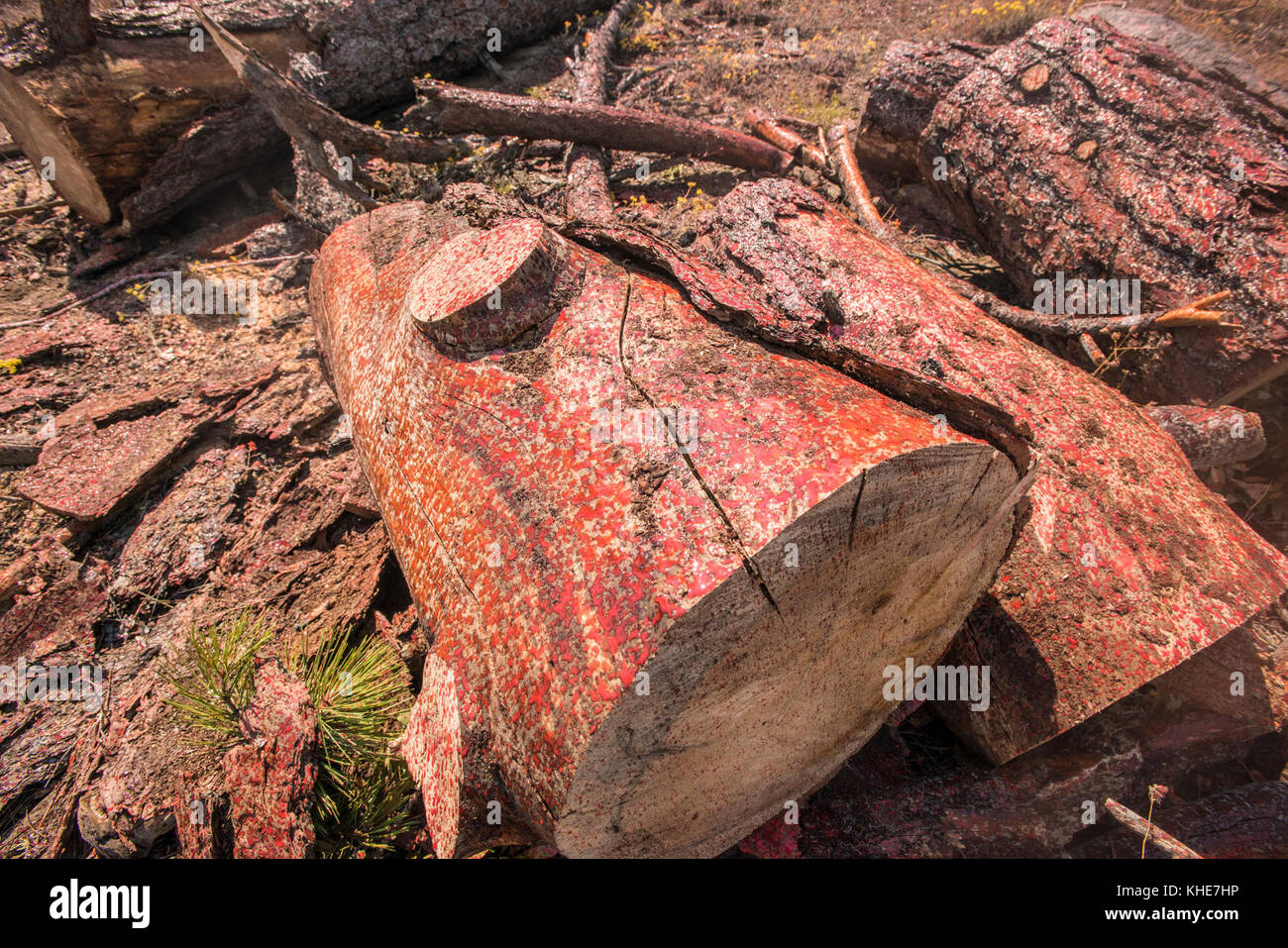 Cedar Fire fire operations include the aerial application of fire ...