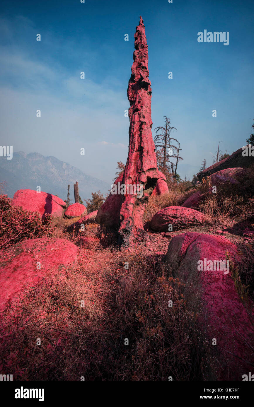 Cedar Fire fire operations include the aerial application of retardant ...
