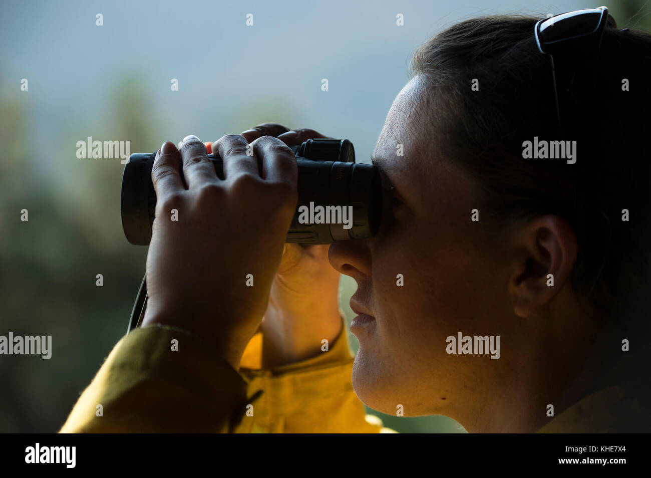 U.S. Department of Agriculture (USDA) Forest Service (FS) Adaptive ...