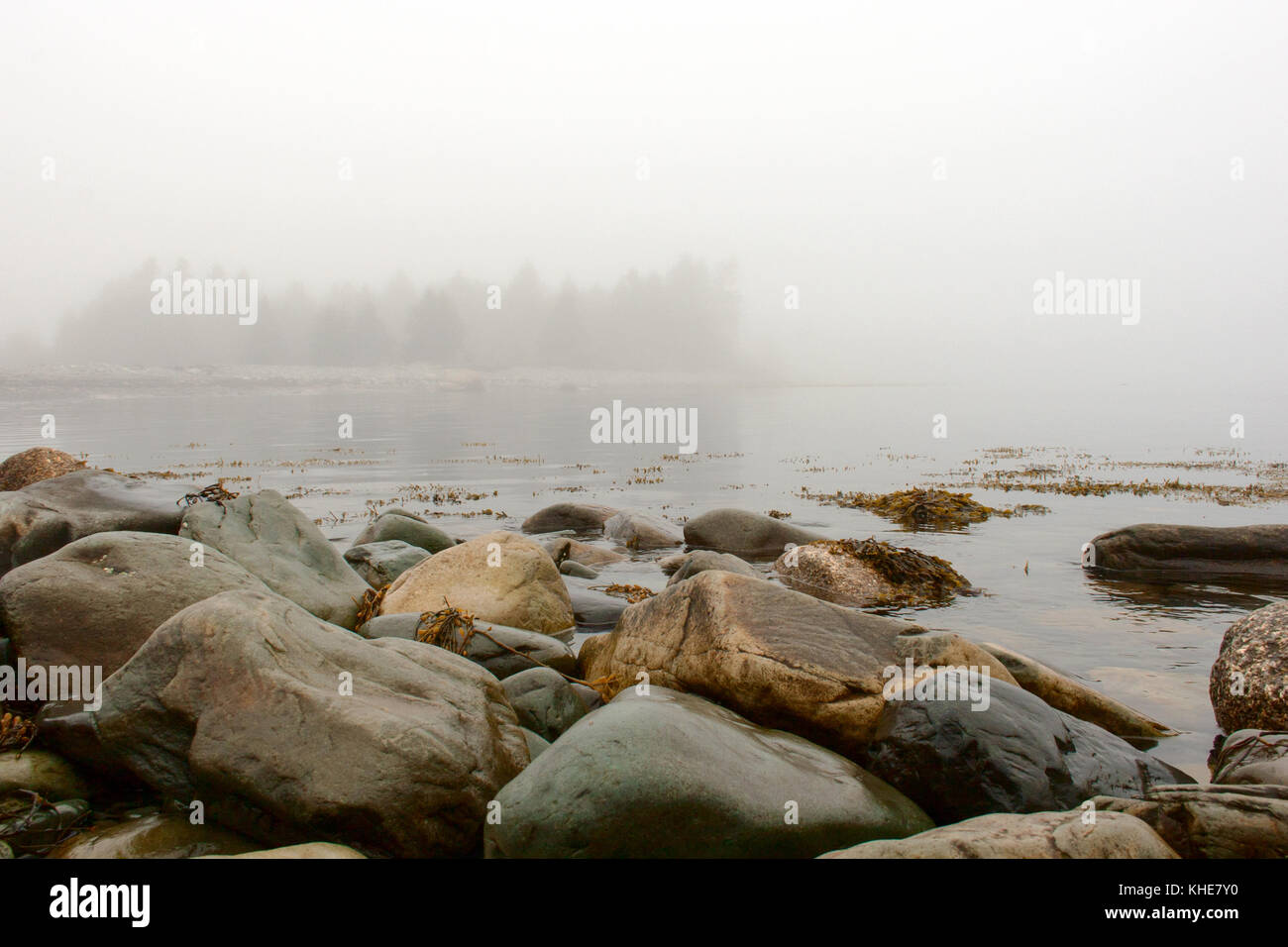 Wet rocks in rainy day Stock Photo - Alamy