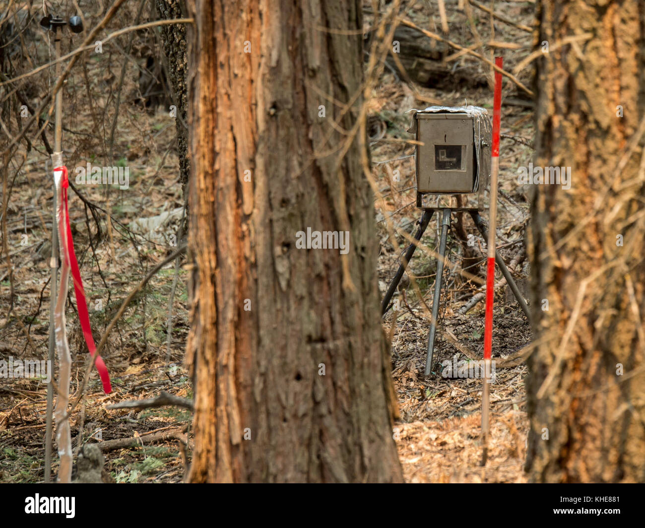 Adaptive management hi-res stock photography and images - Alamy