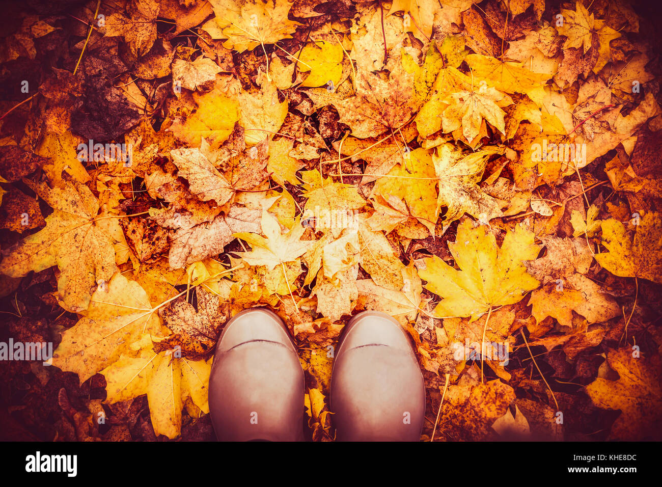 Rubber boots on autumn leaves , top view, fall nature background ...