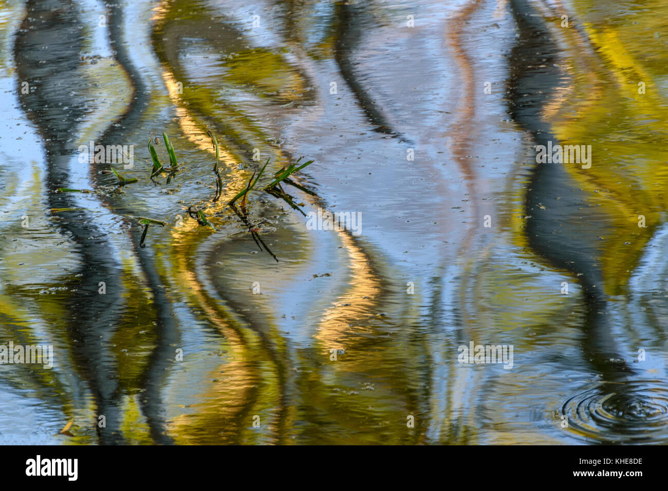 Colorful abstract bright decorative background with ripples, waves and ...