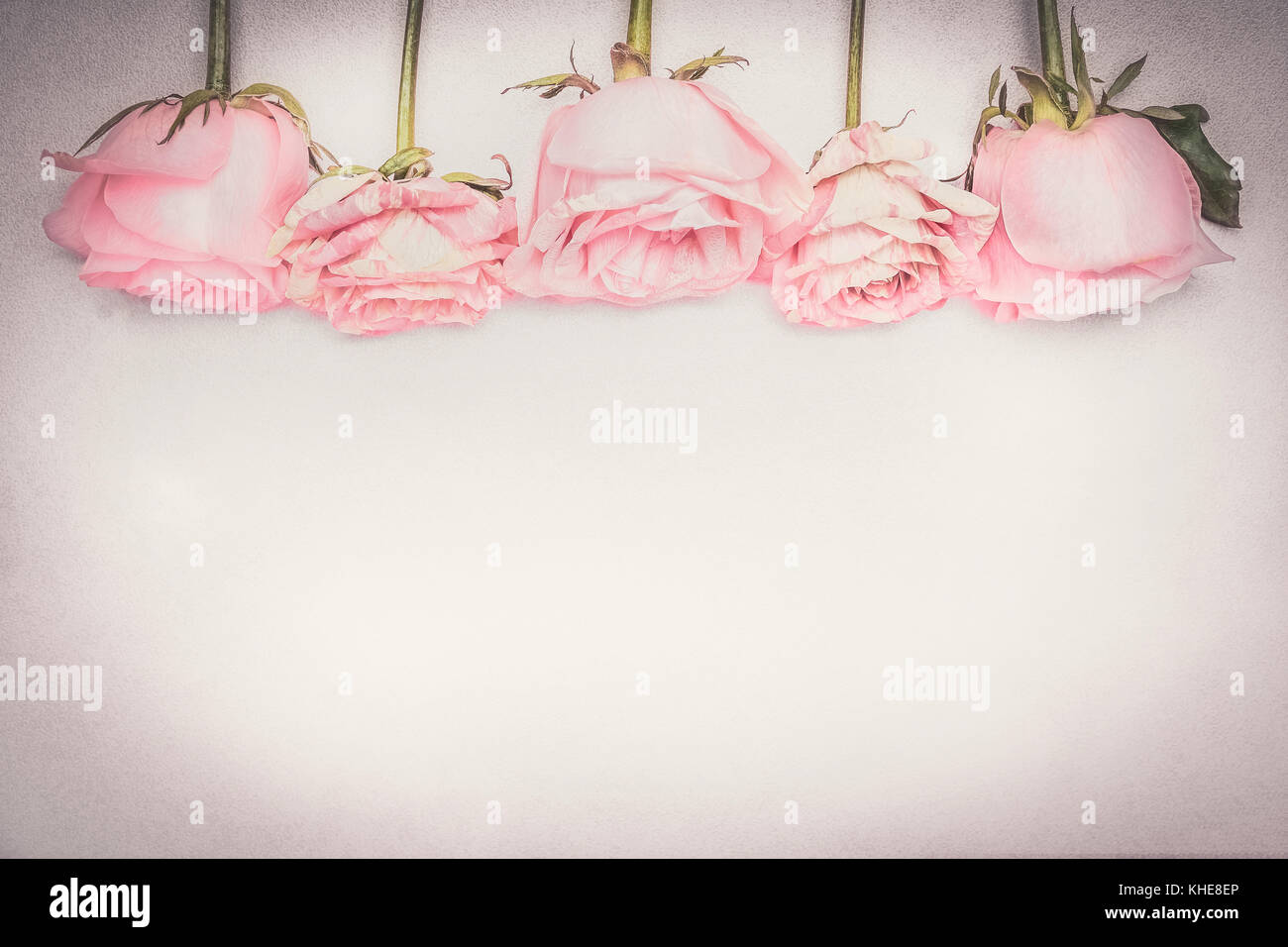 Pink rose floral border , pastel colored, greeting card, faded colors ...