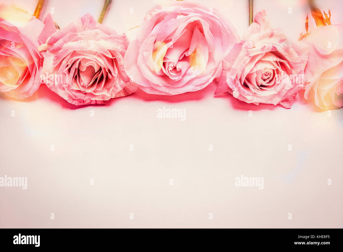 Pink rose floral border with bokeh lighting, pastel color, greeting ...