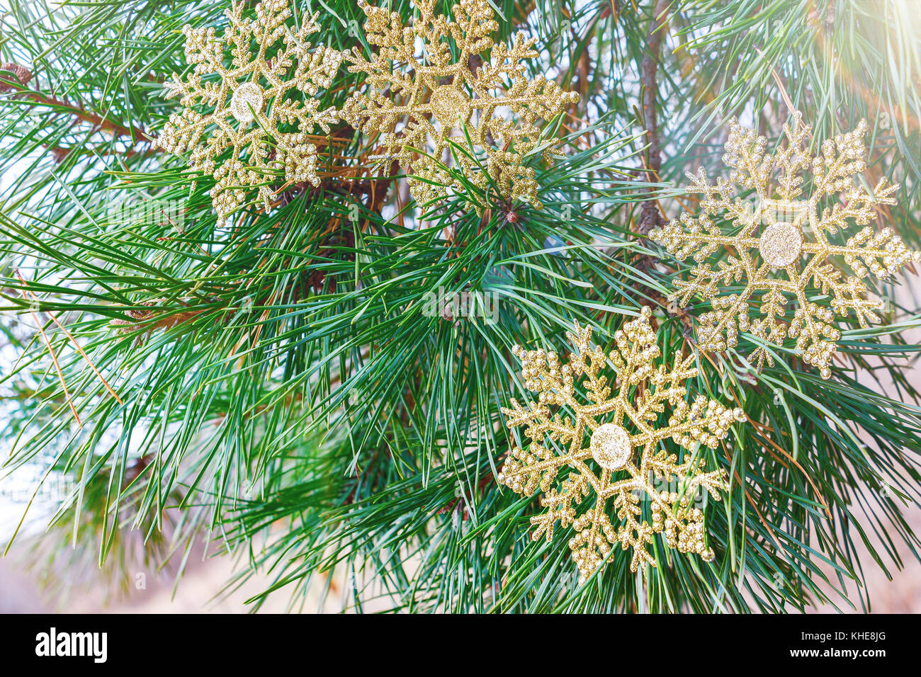 New year christmas tree fir hi-res stock photography and images - Alamy