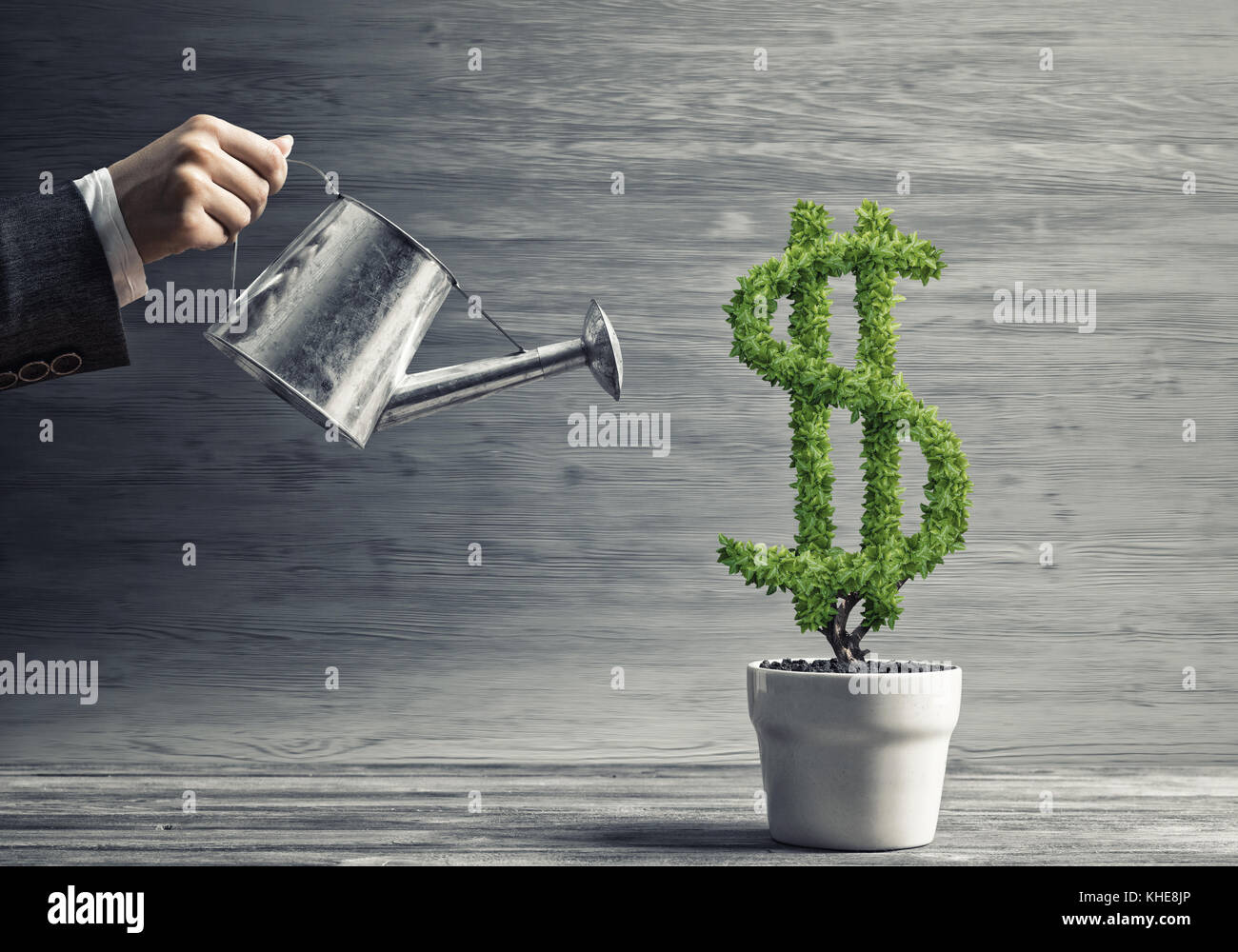 Concept of investment income and growth with money tree in pot Stock ...