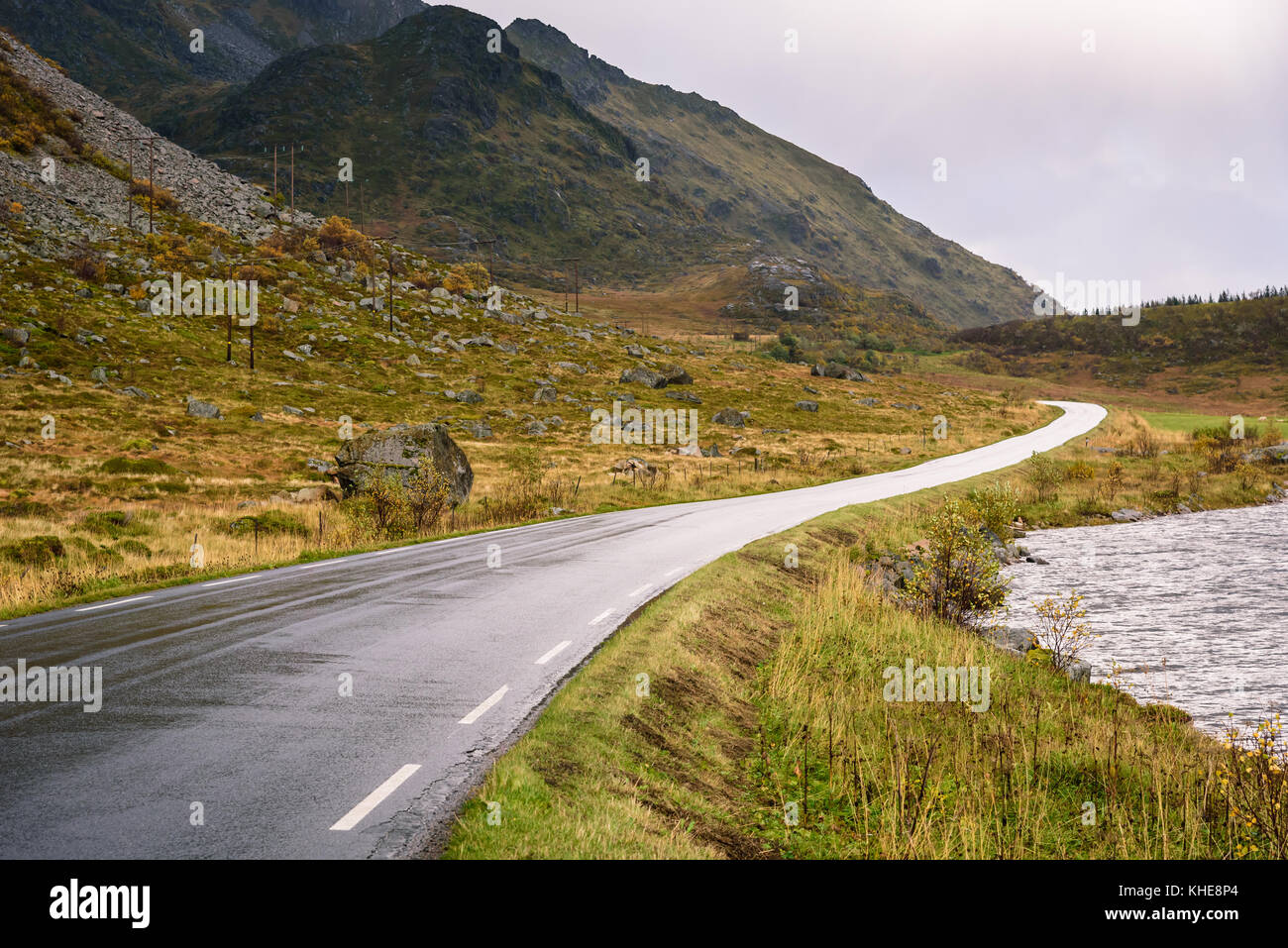 Asphalt sharp curved road along the forest and mountain, Lofoten ...