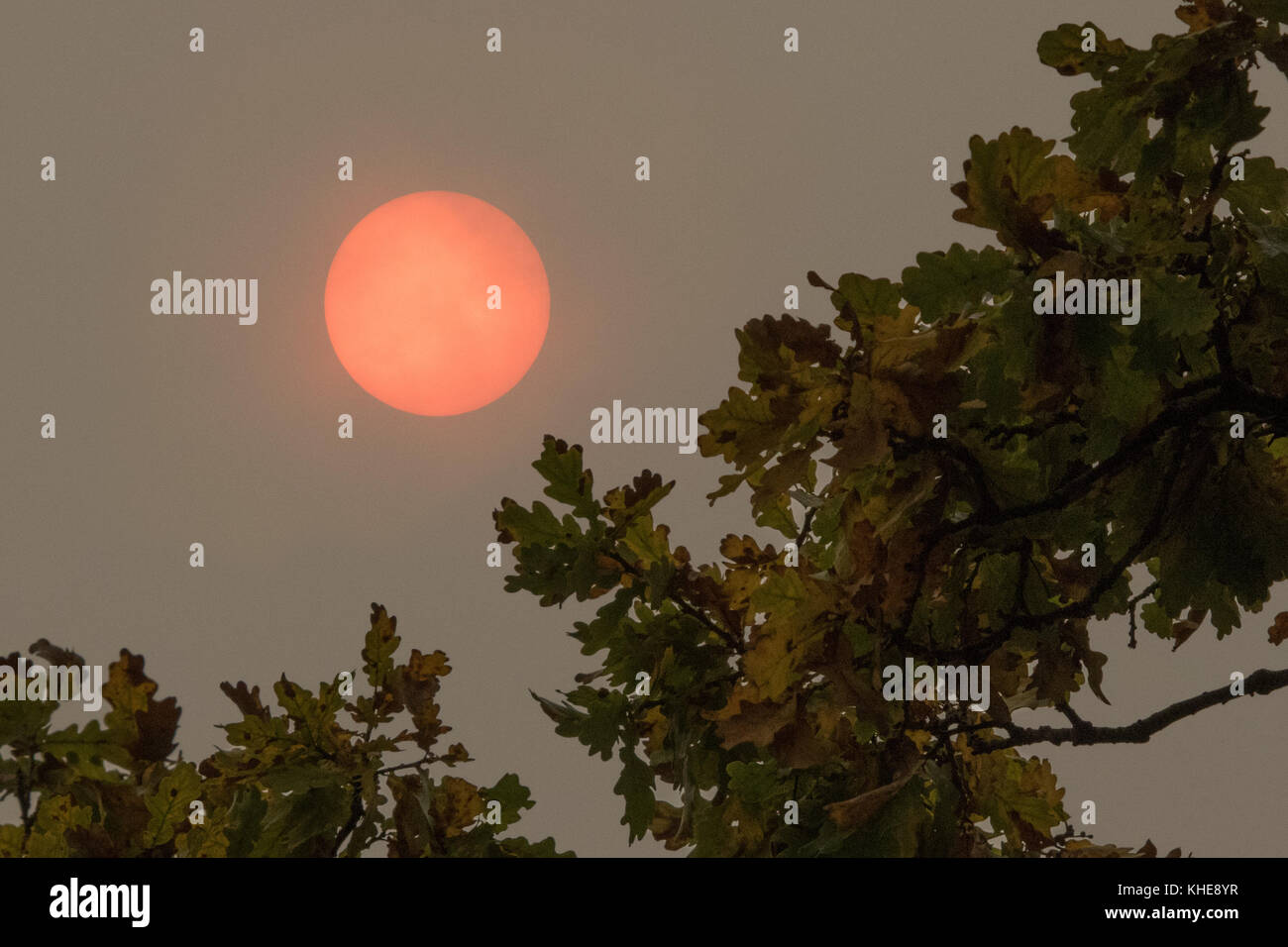 Red sun phenomenon 'caused by Hurricane Ophelia' Featuring: View Where ...