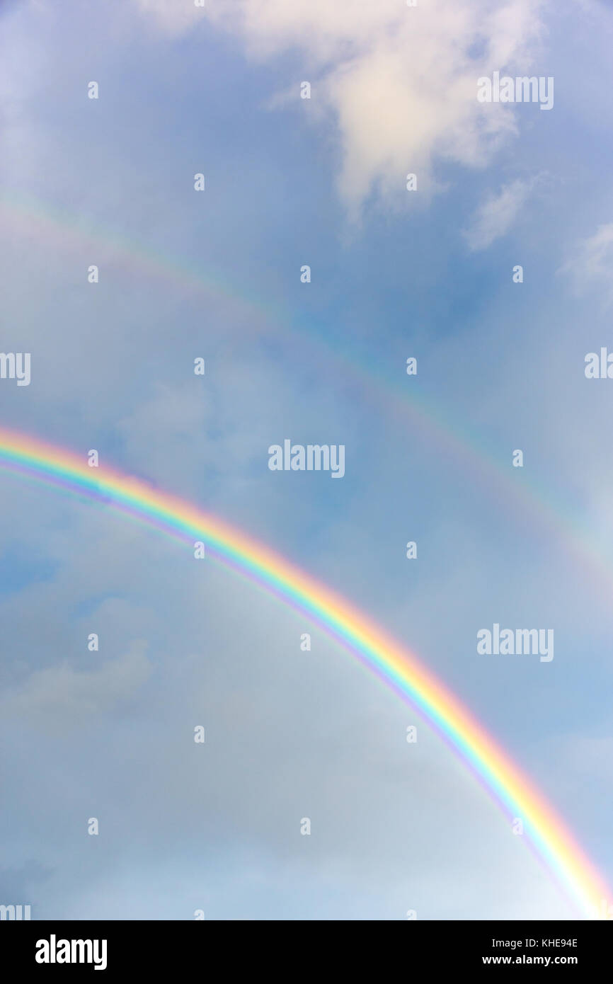 Picture paste hi-res stock photography and images - Alamy