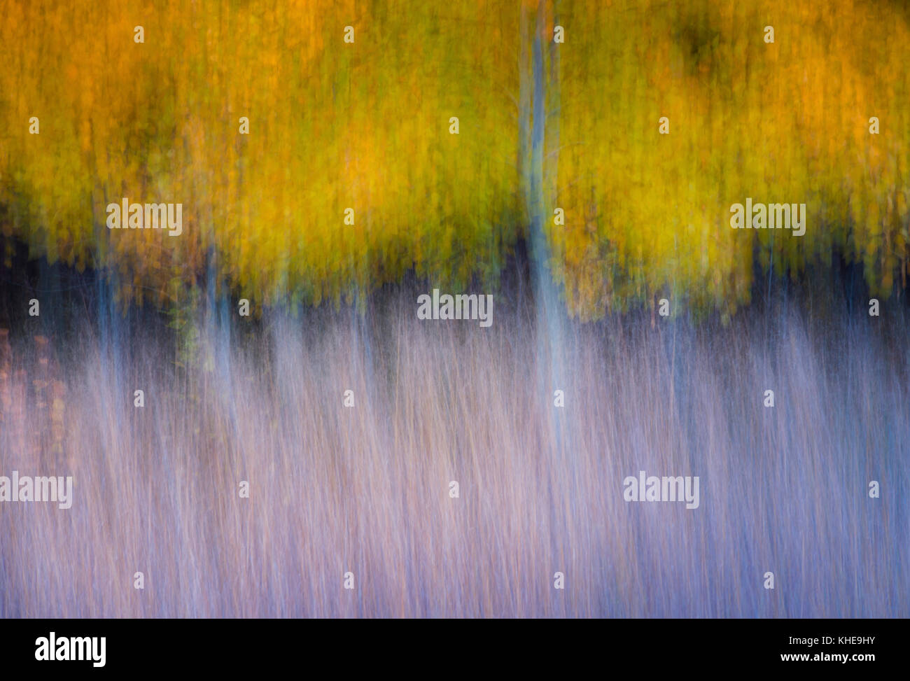 Abstract of autumn colors, with creative blur from camera movement ...